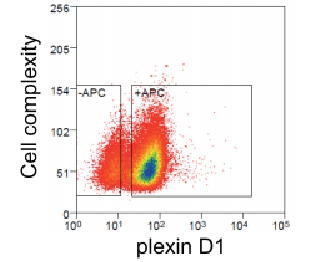 Library Construction and Screening Services | VectorBuilder
